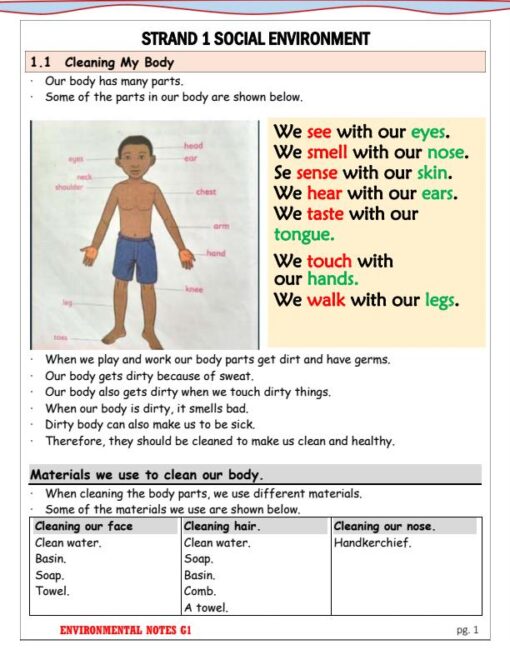 Grade 1 Rationalized Environmental Activities Notes - Term 1-3 - Elimu ...
