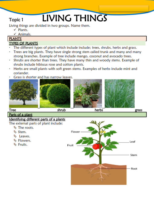 2024 GRADE 6 SCIENCE AND TECHNOLOGY COMPLETE NOTES -TERM 1-3 - Elimu ...