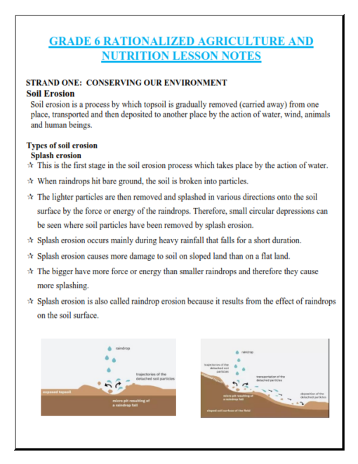 Grade 6 Rationalized Agriculture and Nutrition Lesson Notes Term 1-3 V1 ...
