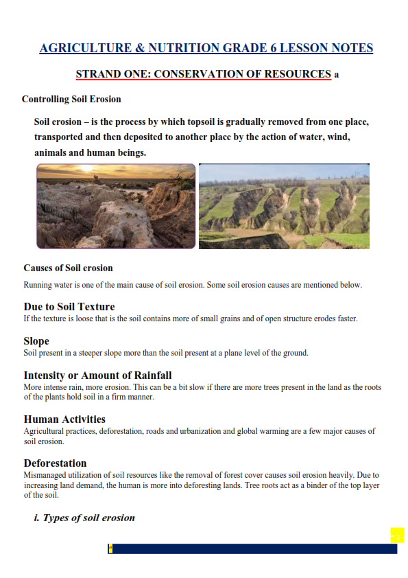 GRADE 6 RATIONALIZED AGRICULTURE & NUTRITION LESSON NOTES TERM 1-3 ...